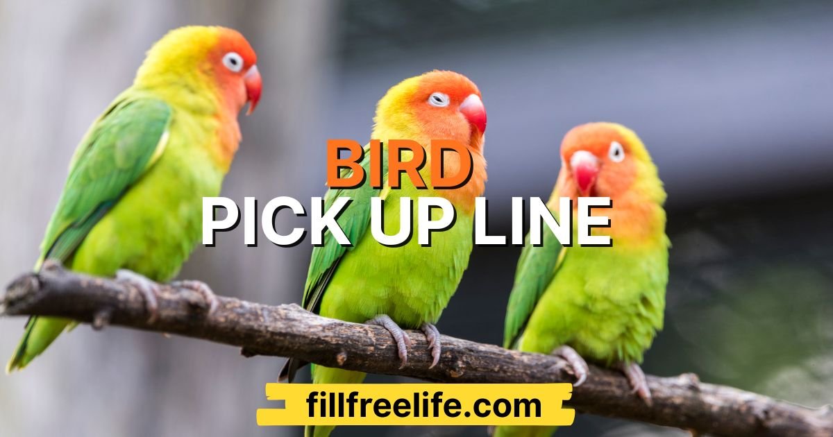 83+ Cute Bird Pick Up Lines That Make Hearts Fly - FillFreeLife