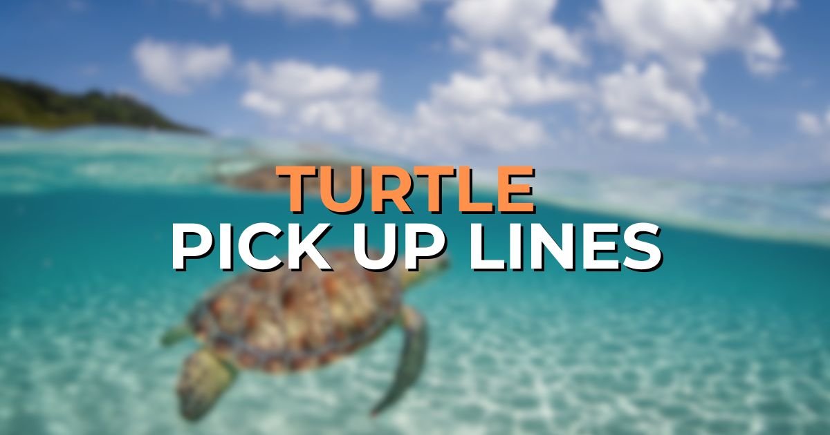 69+ Flirty Turtle Pick Up Lines You will Love - FillFreeLife